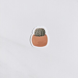Cacti Trio Cactus Sticker Set Vinyl Sticker Pack Cactus Succulents ...