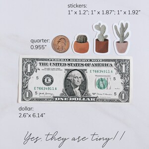 Cacti Trio Cactus Sticker Set Vinyl Sticker Pack Cactus Succulents ...