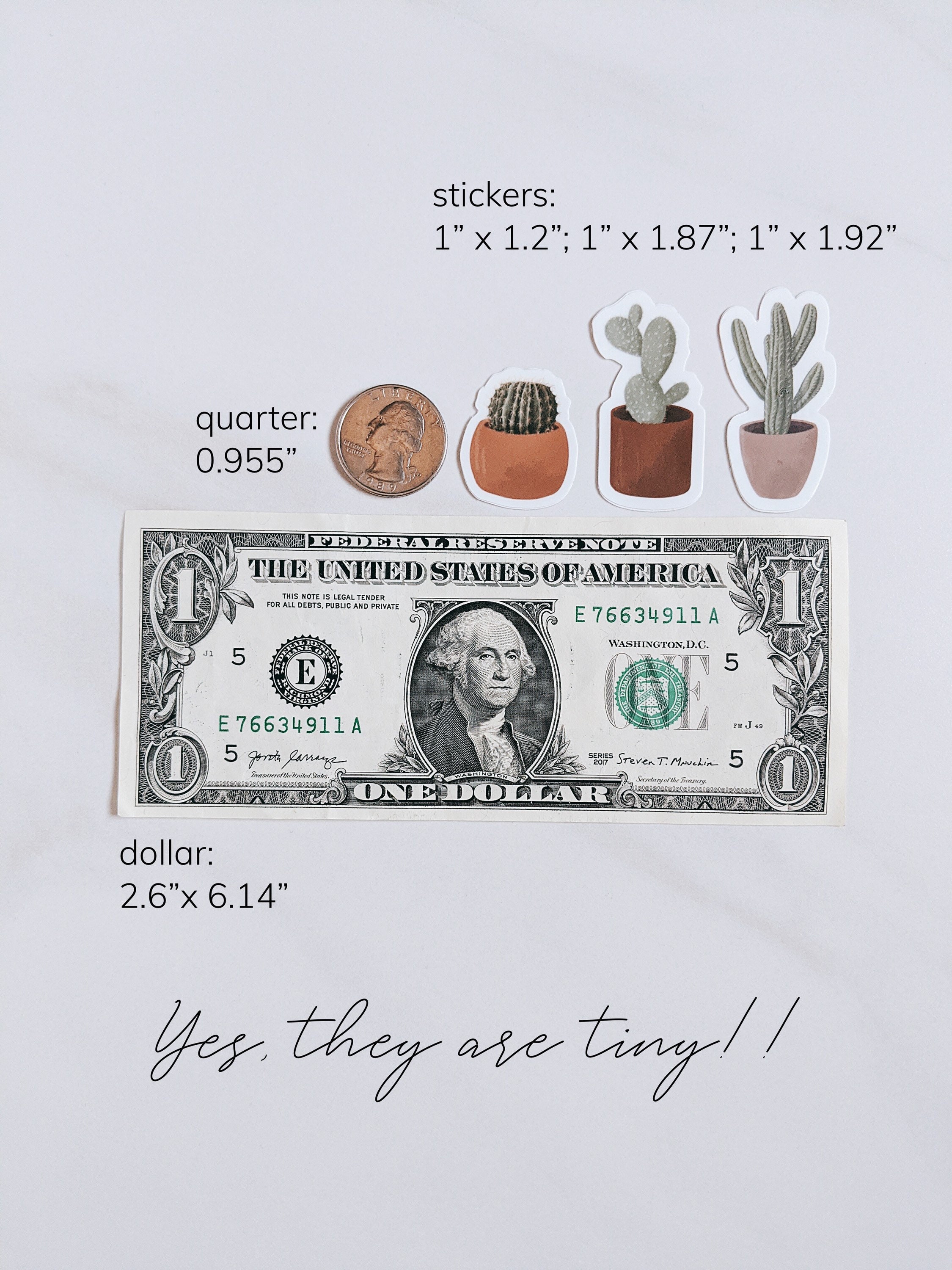 Cacti Trio Cactus Sticker Set Vinyl Sticker Pack Cactus | Etsy