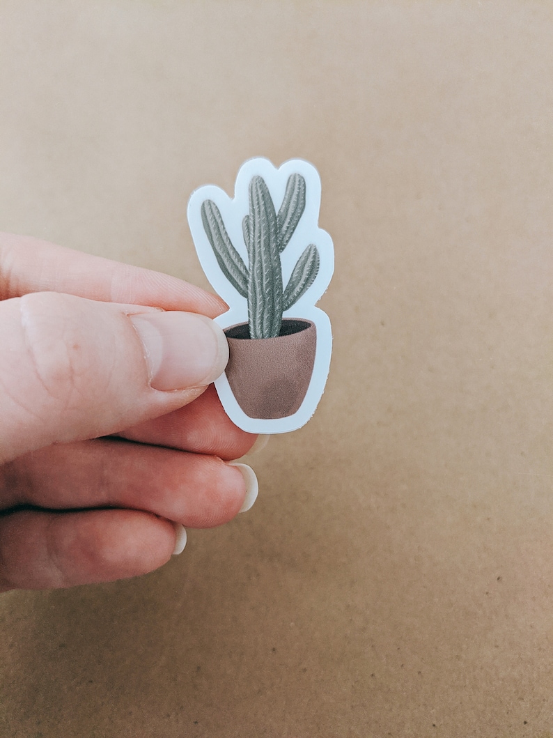 Cacti Trio Cactus Sticker Set Vinyl Sticker Pack Cactus | Etsy