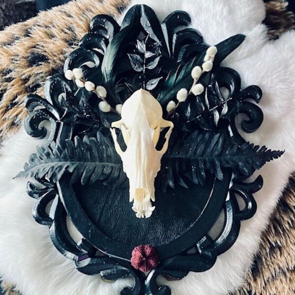 Bone Skull Frame - Etsy