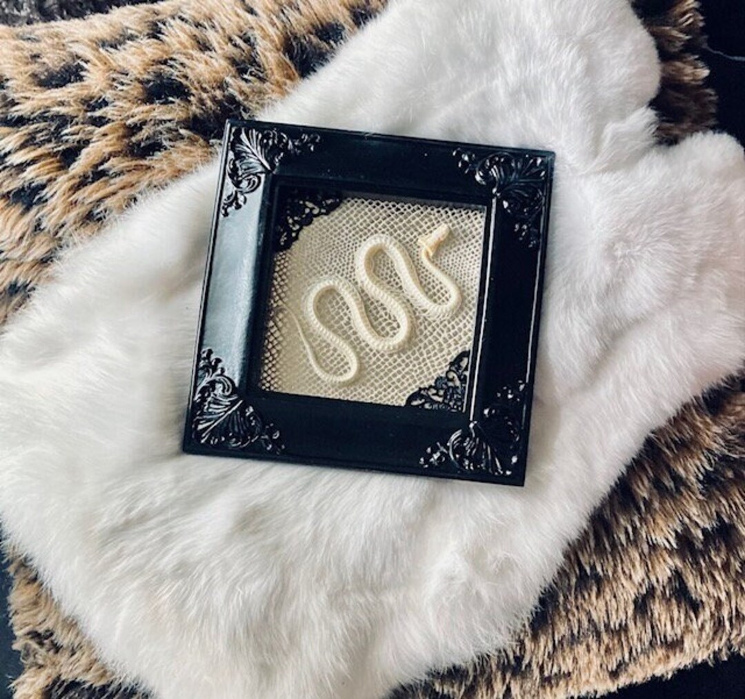 Real Pit Viper Snake Skeleton Oddities Curiosities Bone Art Snake Skin ...