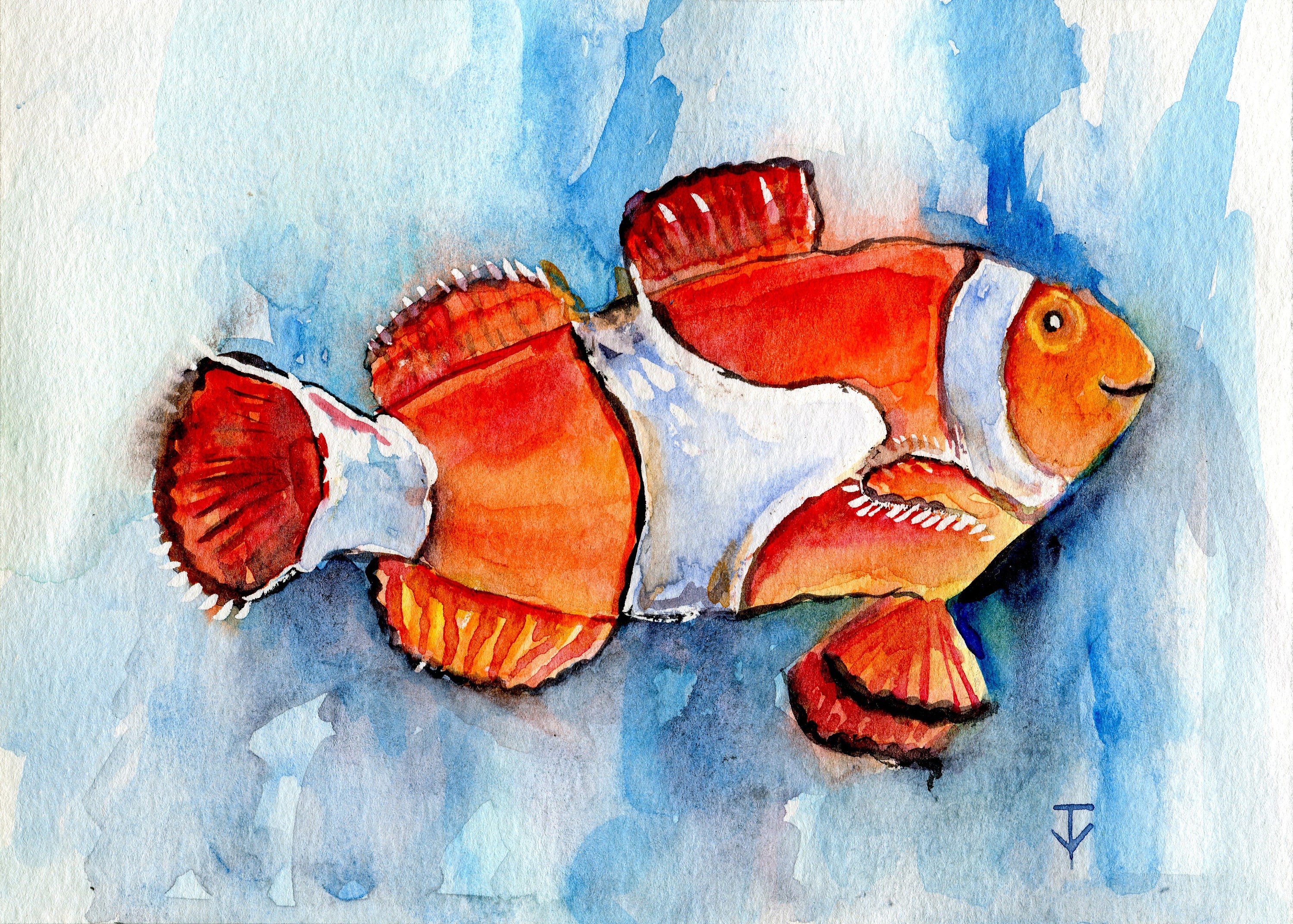 Clown Fish Paintings
