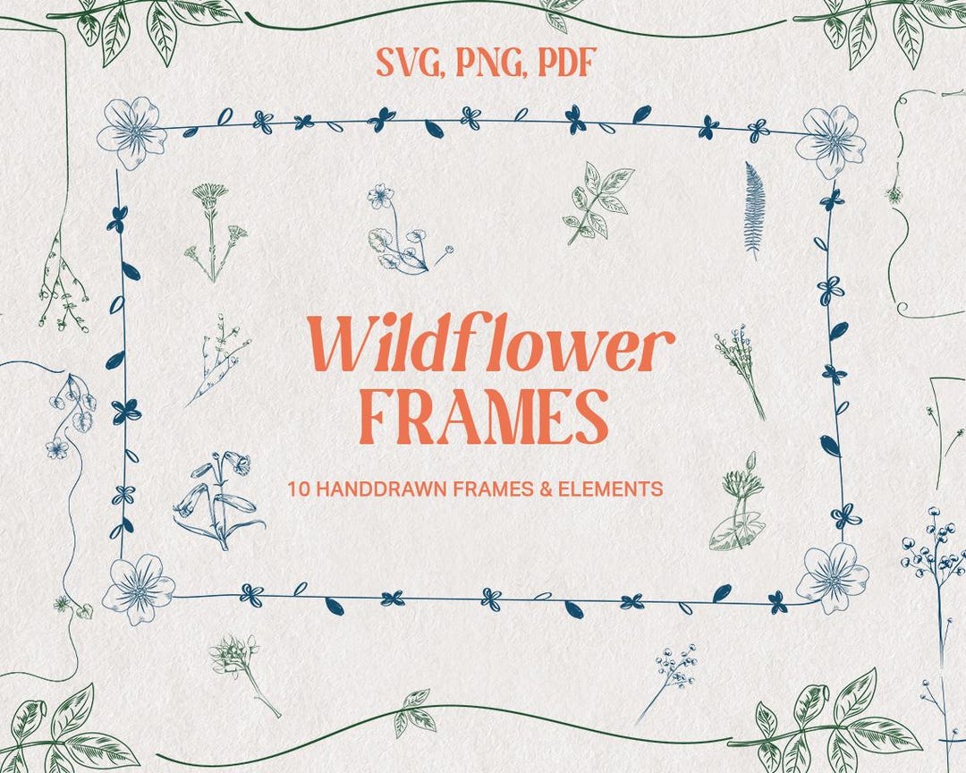 Floral Wildflower Frames Bundle SVG, Floral Clipart Png, Wild Flowers Borders, Summer ...