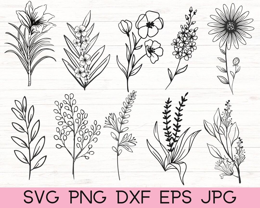 Botanical SVG for Tshirts,wildflowers,png Leaves,clipart,floral Svg ...