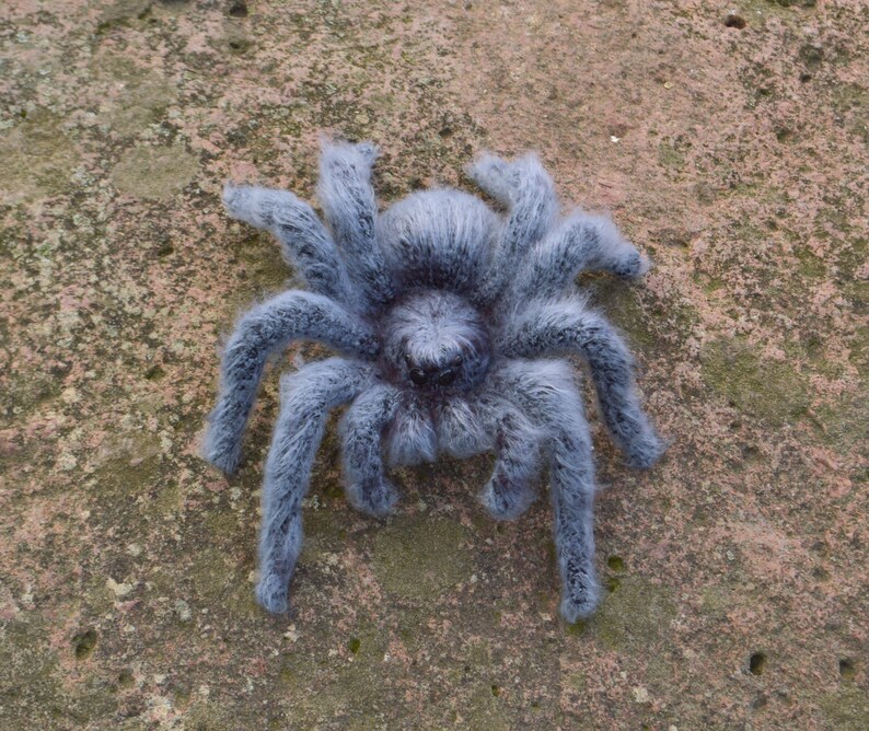 Giant Grey Tarantula. Crocheted Bird Eating Spider. Halloween - Etsy