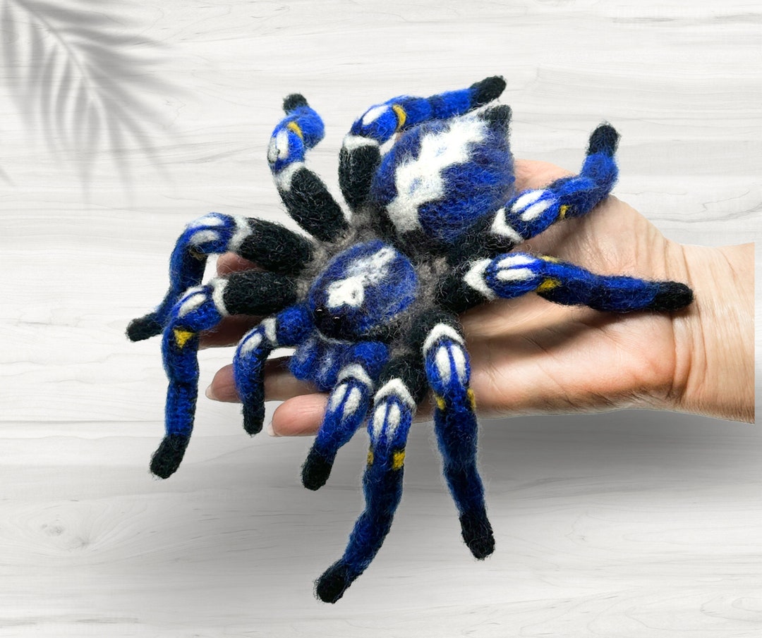 Crocheted Tarantula. Amigurumi Tarantula. Realistic Tarantula. - Etsy