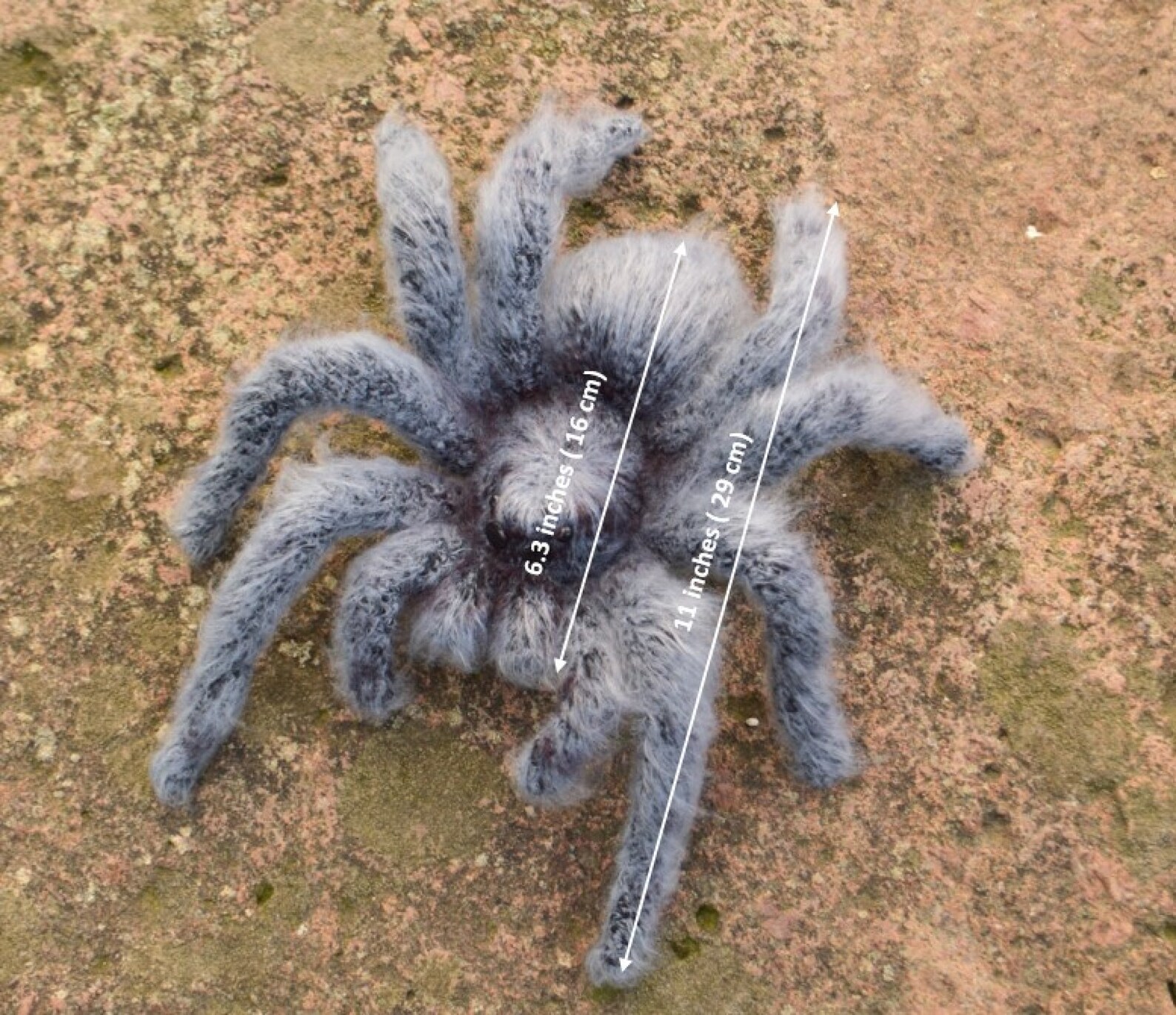 Giant Grey Tarantula. Crocheted Bird Eating Spider. Lifelike - Etsy