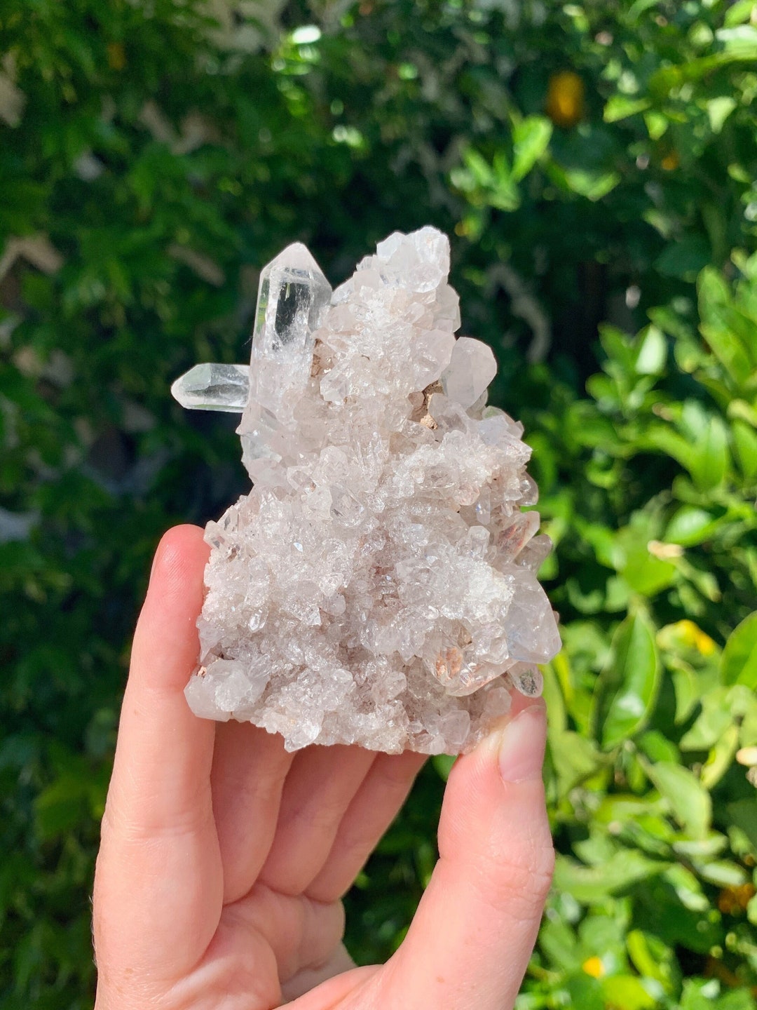 Rare Himalayan Quartz Samadhi Quartz Cluster - Etsy
