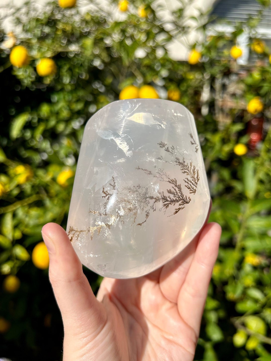 Exceptional Girasol Quartz Freeform With Golden Dendritic Inclusions ...