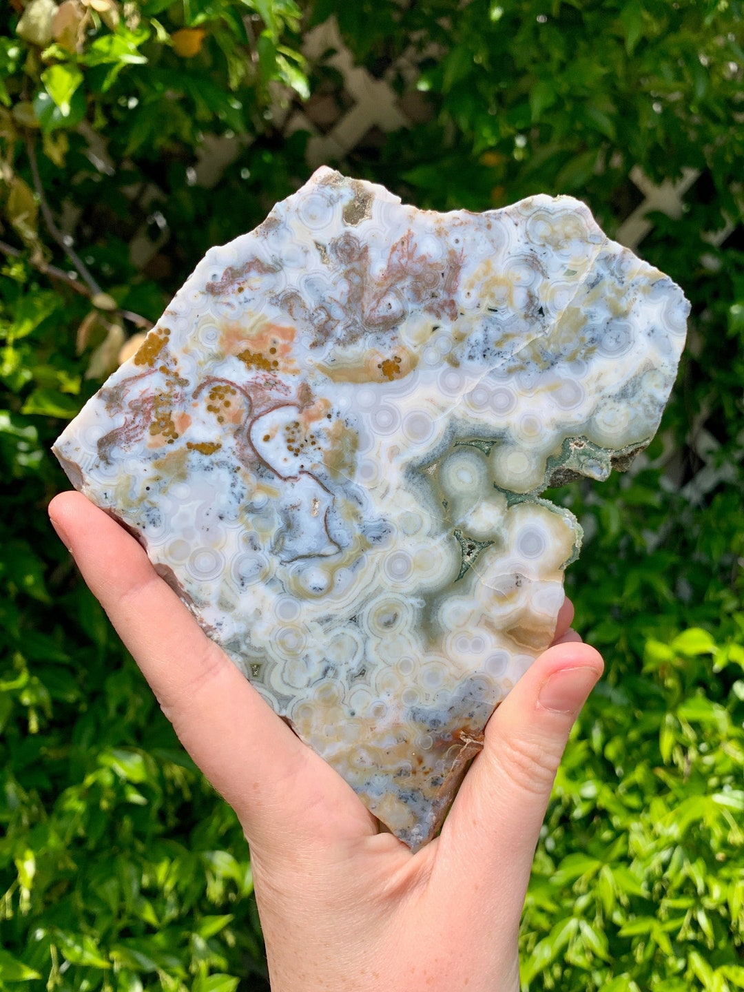 Rare 8th Vein Ocean Jasper Slab - Heart Chakra Healing - Etsy