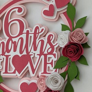 6 Months Cake Topper: Pink, Gold, Roses, Butterflies, Milestone Decor ...