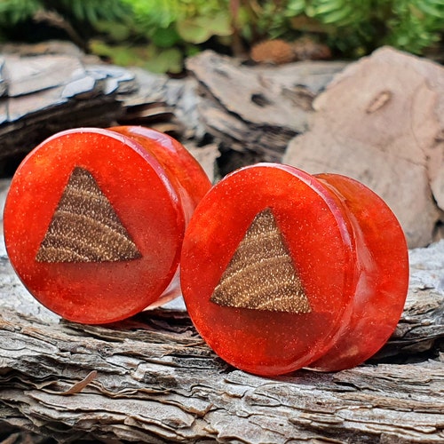 Pair of Wood Resin Plugs Gauges 00 Plugs and Tunnels 00 | Etsy