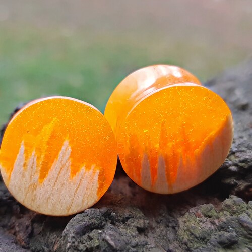 Resin Plugs Plugs and Tunnels Ear Gauges Pair of Wood - Etsy