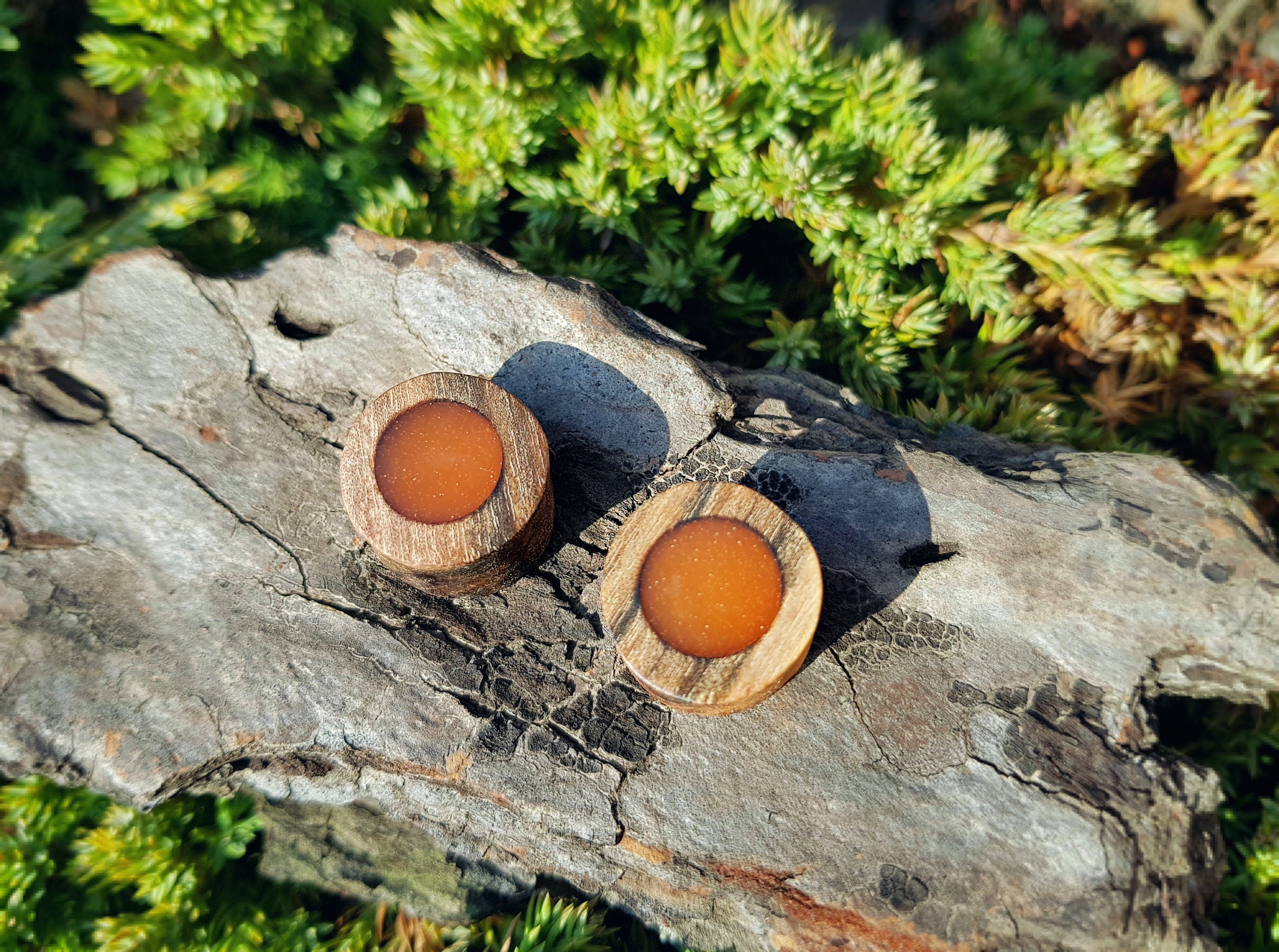 Resin Plugs Plugs and Tunnels Ear Gauges Pair of Wood | Etsy