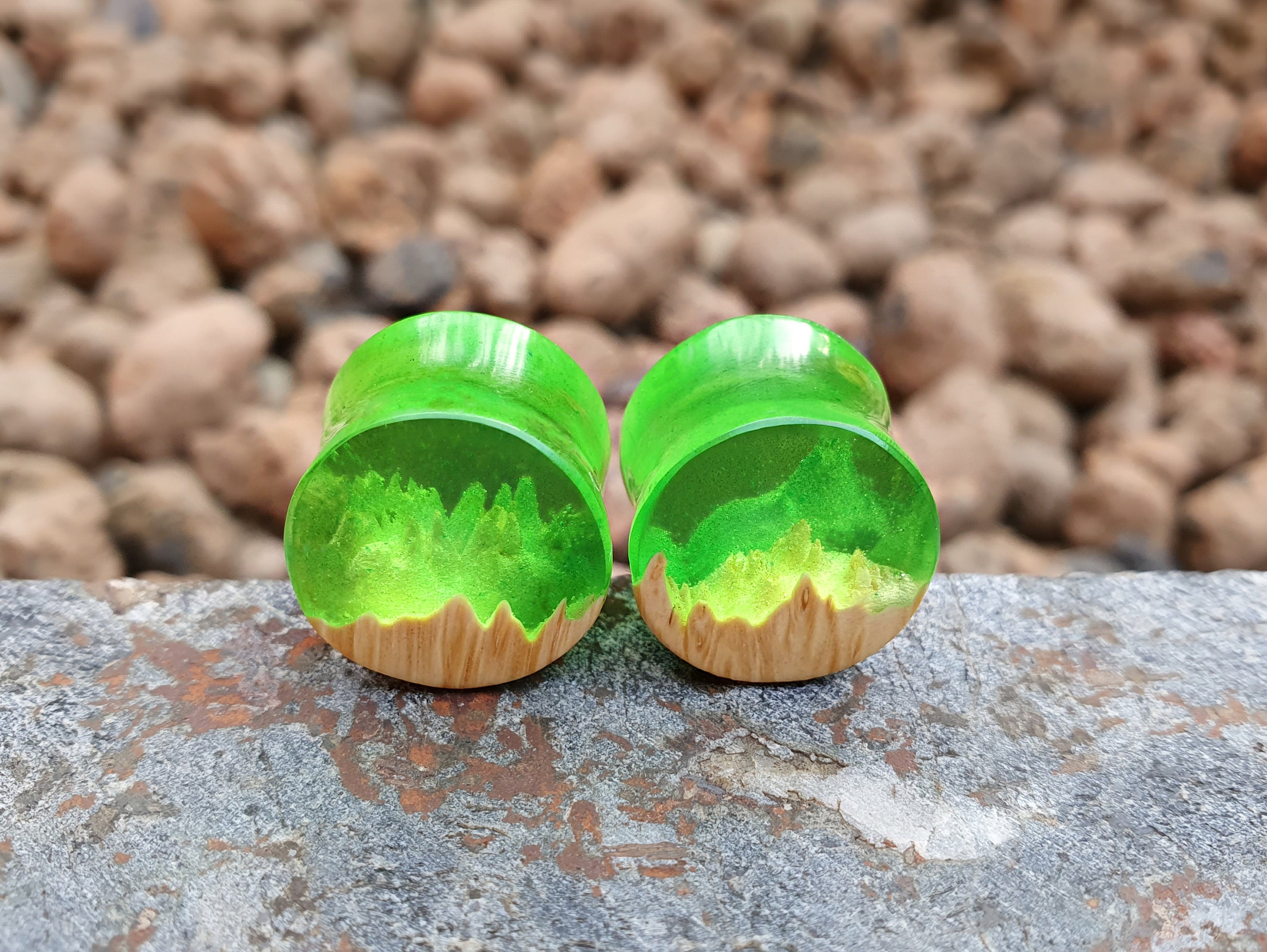 Pair of Unique Natural Plugs Gauges 00 Plugs and Tunnels 00 | Etsy