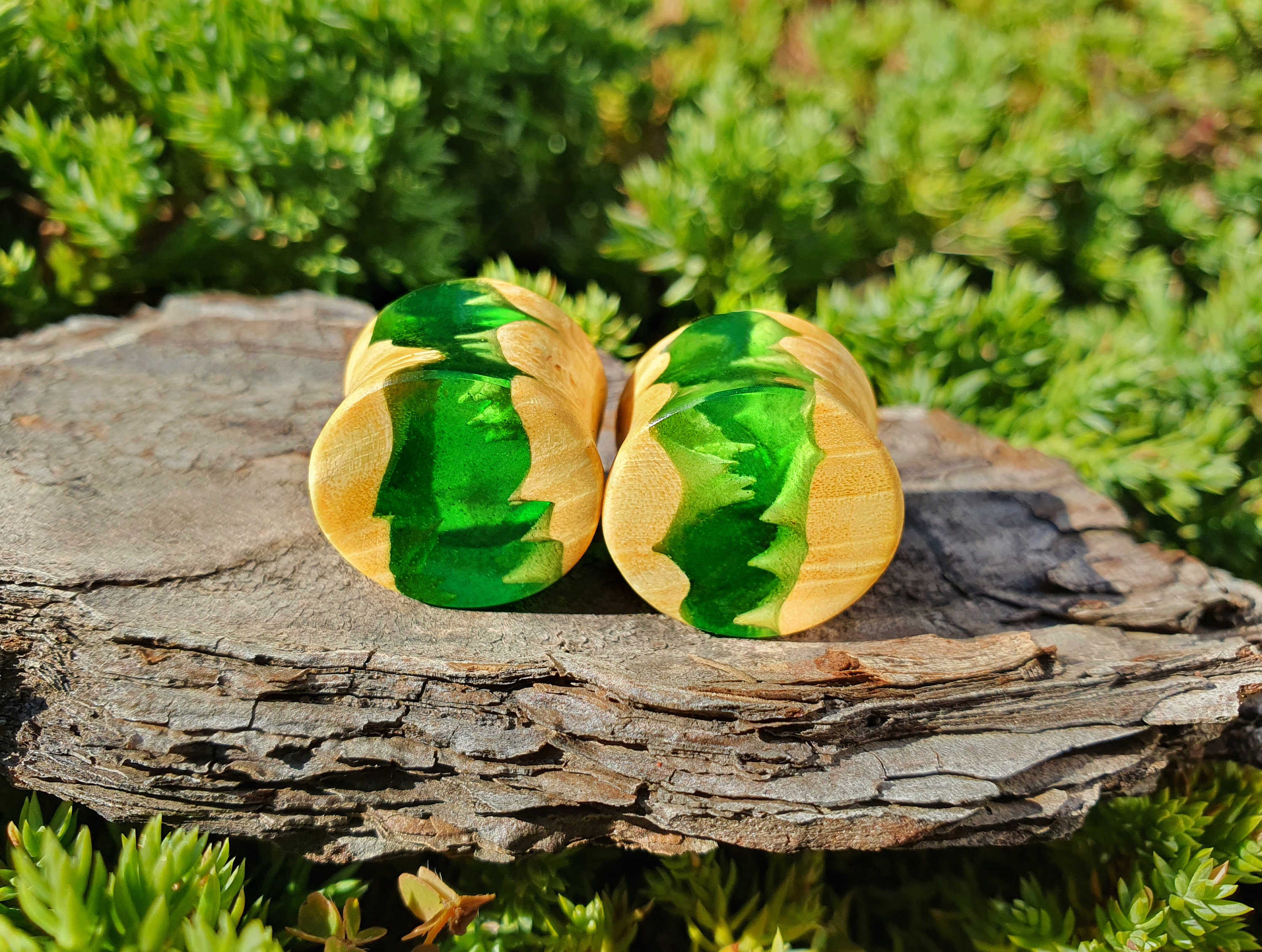 Pair of unique natural plugs gauges 00 plugs and tunnels 00 | Etsy