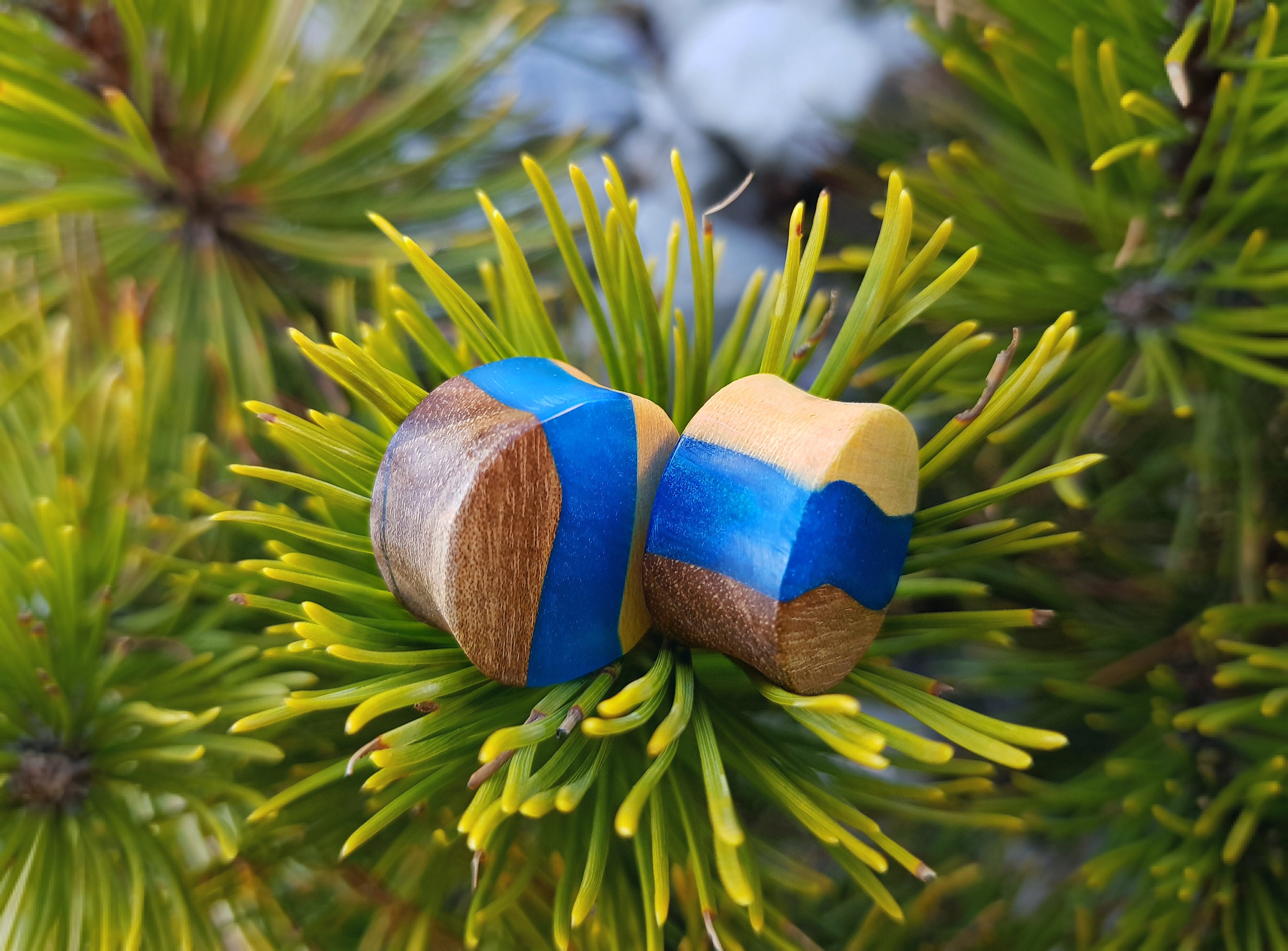 Wood plugs wood gauges plugs and tunnels ear gauges plugs | Etsy