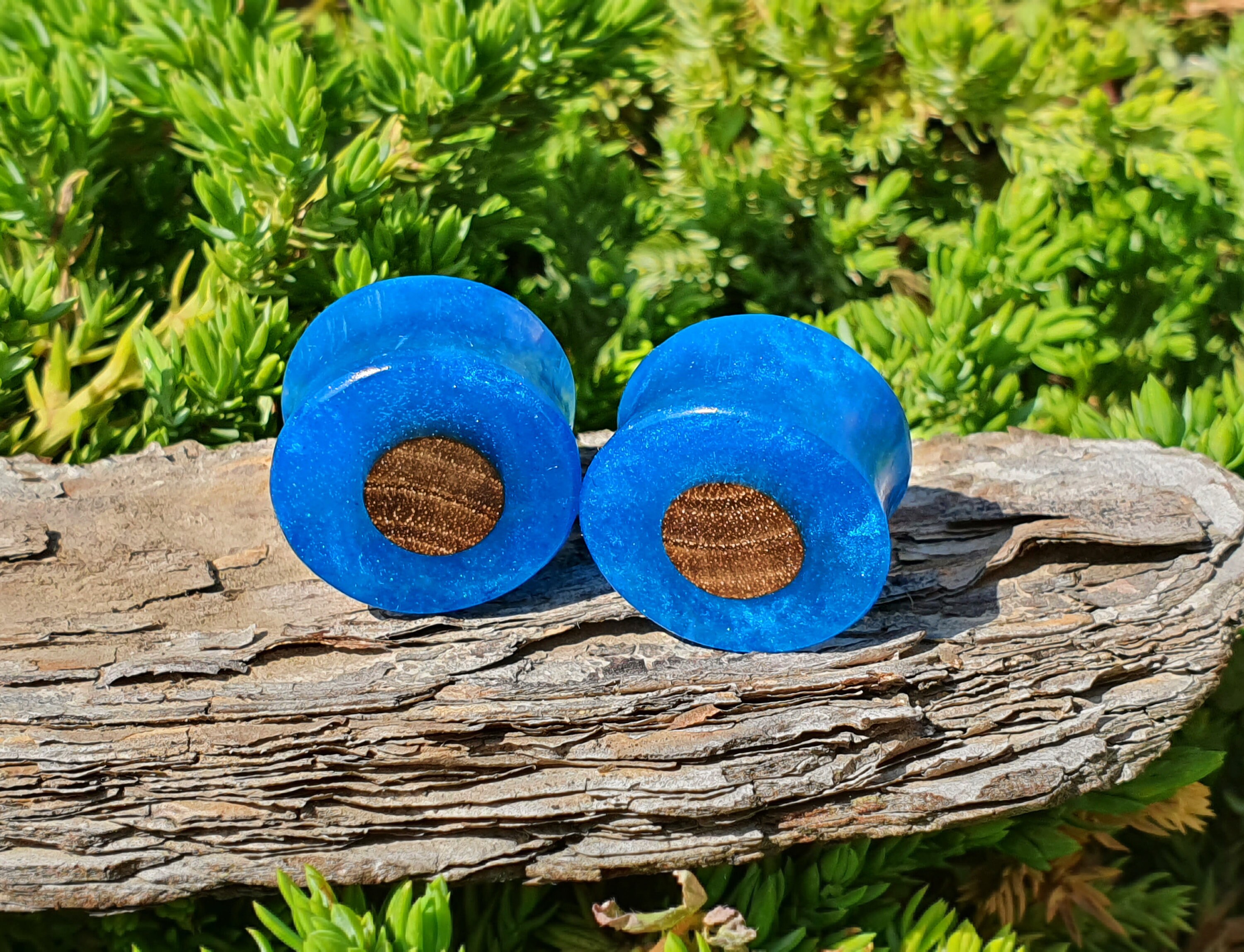 Pair of Wood Resin Plugs Plugs and Tunnels Ear Gauges Wood | Etsy