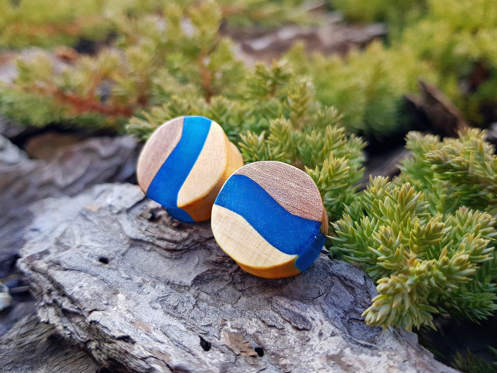 Wood Plugs Wood Gauges Plugs and Tunnels Ear Gauges Plugs - Etsy