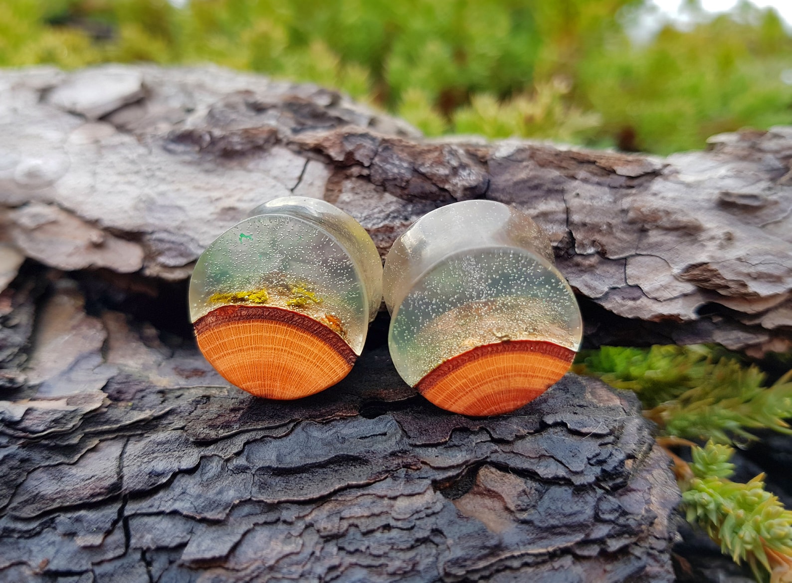Pair of Wood Resin Plugs Plugs and Tunnels Ear Gauges Wood | Etsy