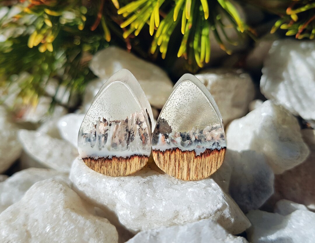 Teardrop Plugs, Wood Gauges, Wood Plugs, Plugs and Tunnels, 00 Gauges ...