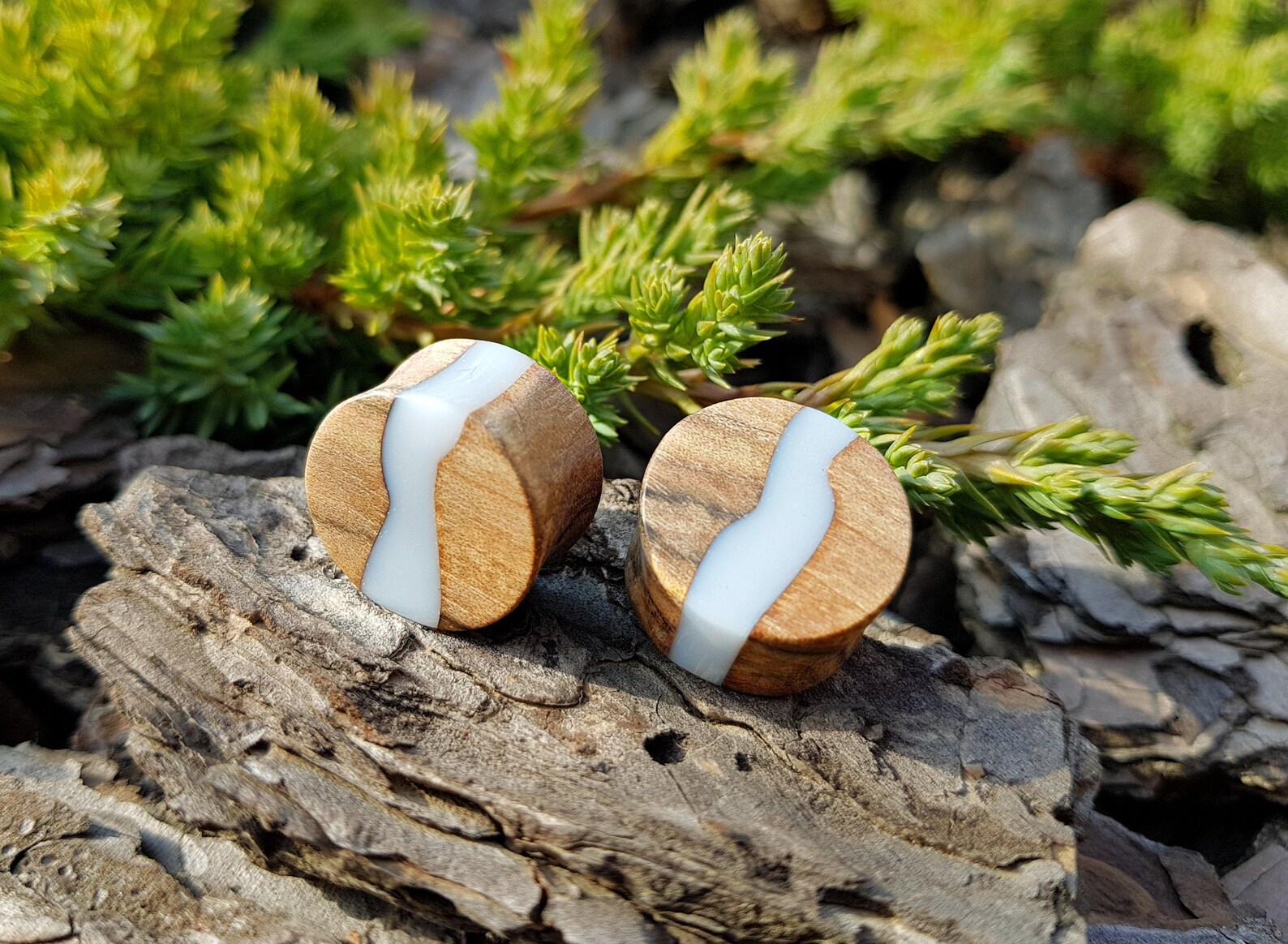 Resin Plugs Plugs and Tunnels Ear Gauges Pair of Wood - Etsy