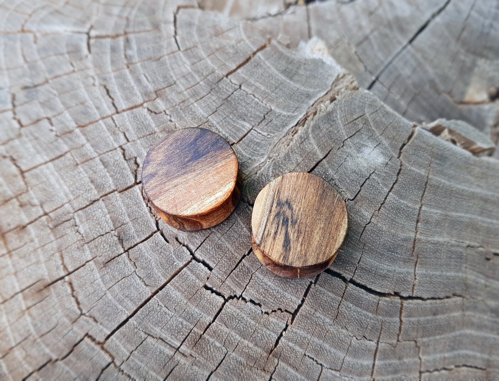 Pair of Wood Plugs, 0g Plugs, Plugs and Tunnels, 00 Gauges, Wood Gauges ...