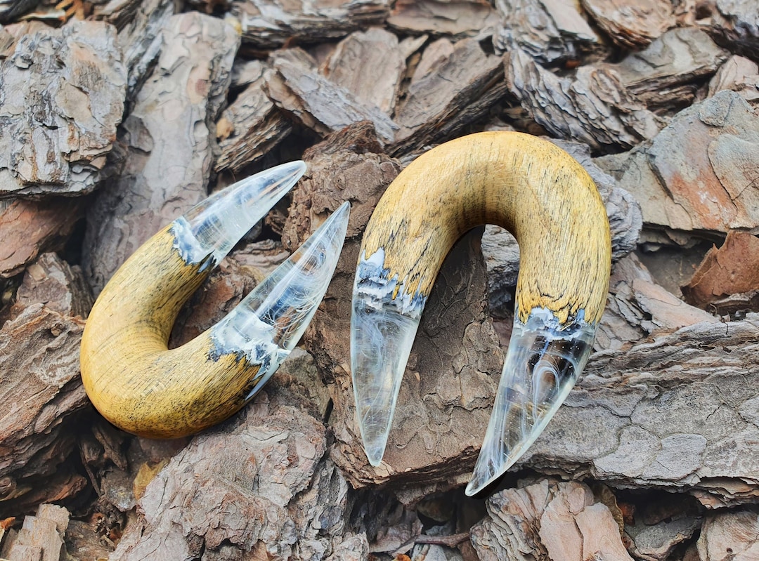 Pair of Wood Resin Hoop Plugs, Mountain Landscape, Hanger Plugs, Horn ...