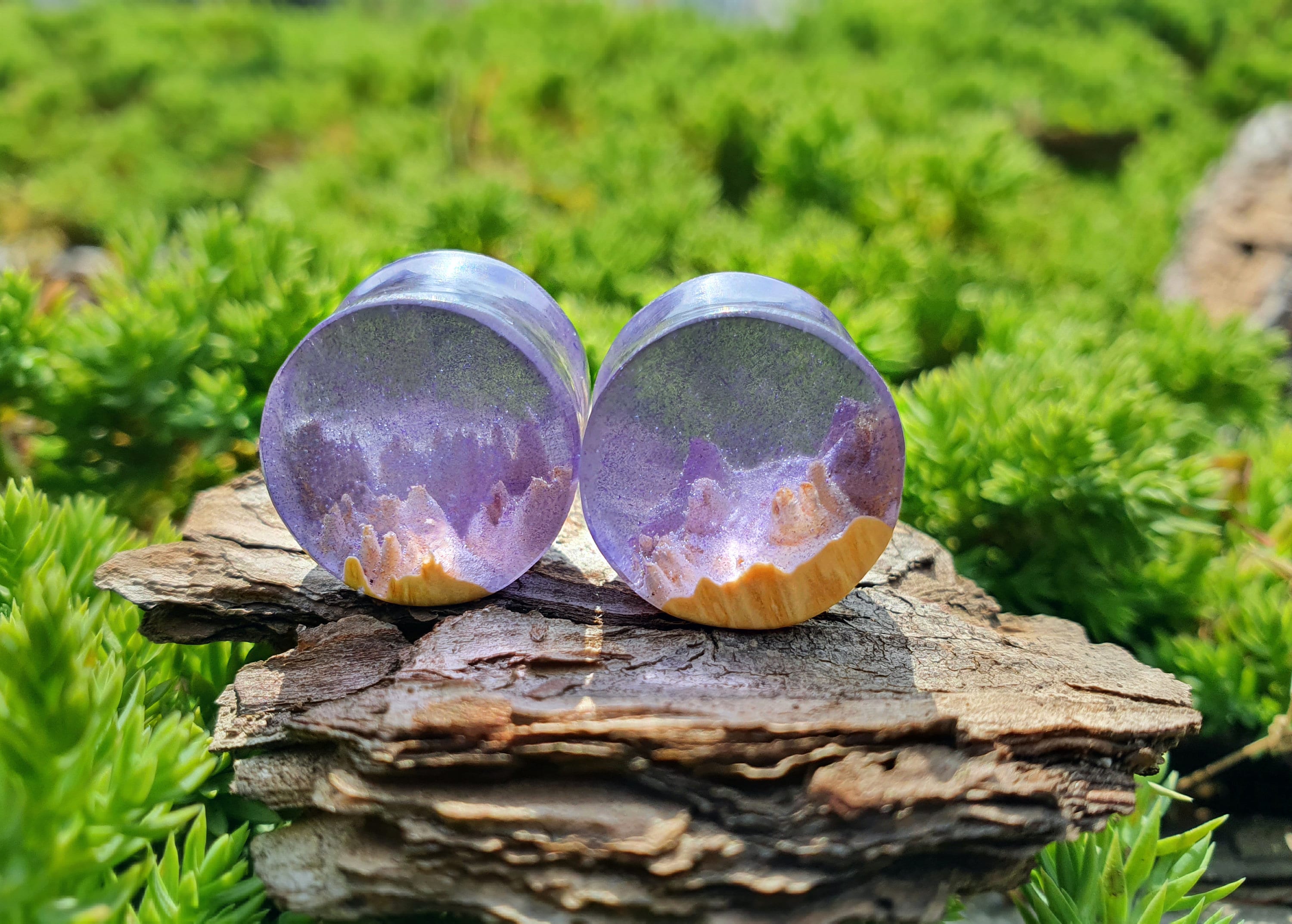 Pair of unique natural plugs gauges 00 plugs and tunnels 00 | Etsy