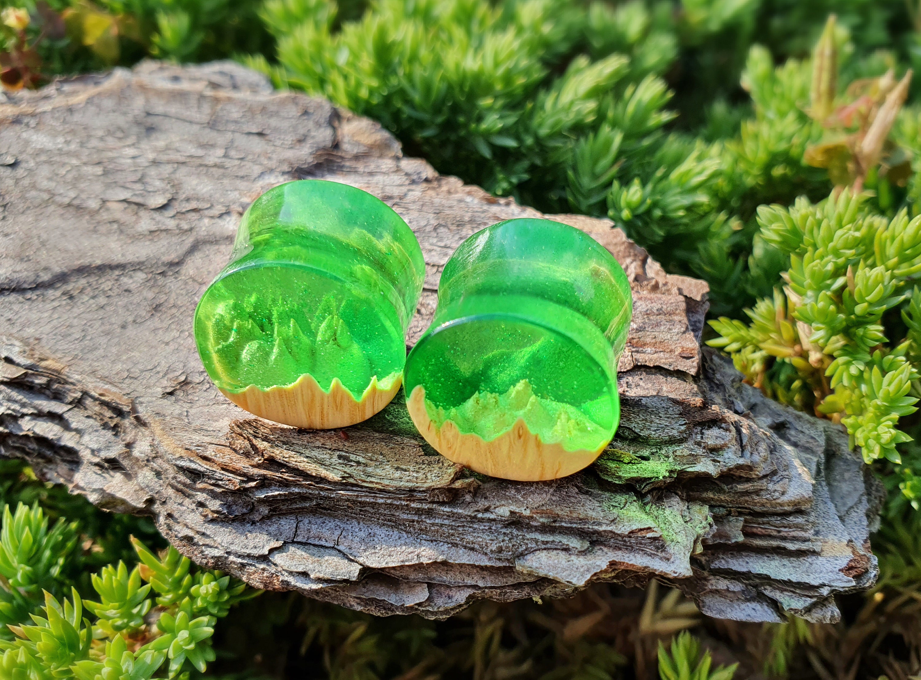 Pair of unique natural plugs gauges 00 plugs and tunnels 00 | Etsy