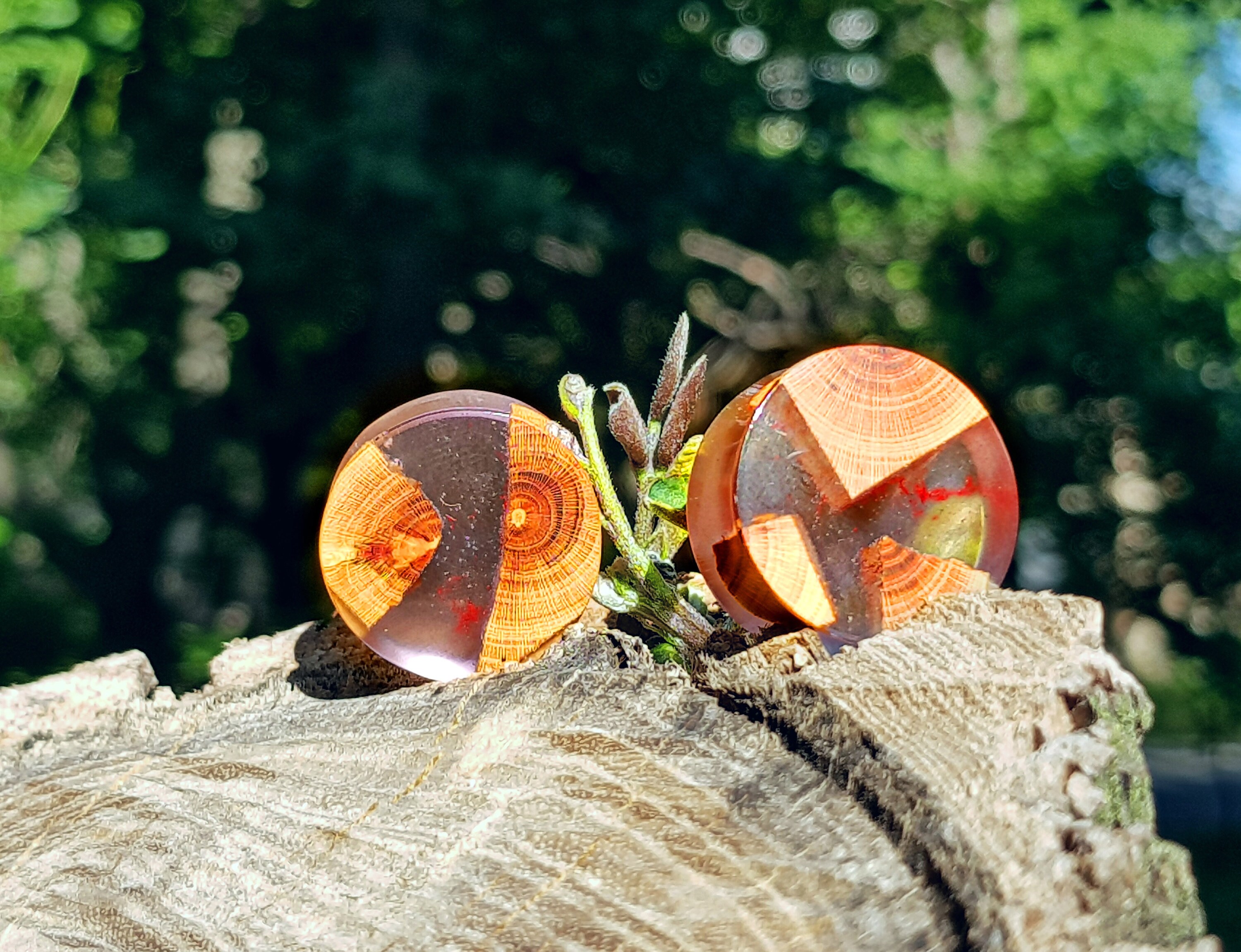 Pair of wood resin plugs plugs and tunnels ear gauges wood | Etsy