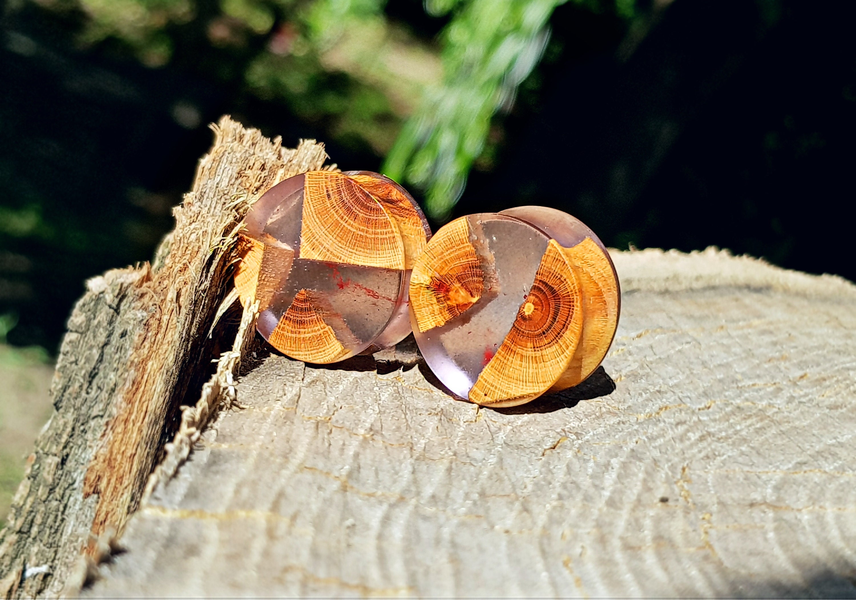 Pair of wood resin plugs plugs and tunnels ear gauges wood | Etsy