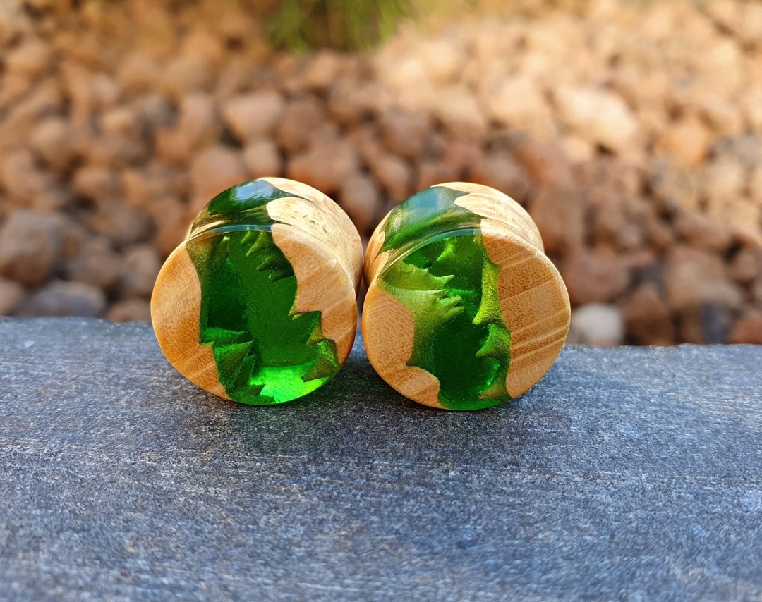 Pair of Unique Natural Plugs, Gauges 00, Plugs and Tunnels, 00 Gauges ...