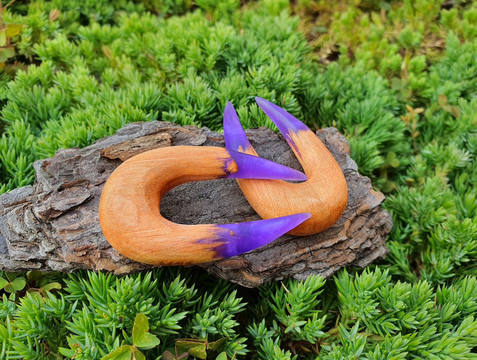 Pair of Wood Resin Hoop Plugs Hanger Plugs Horn Wood Taper - Etsy