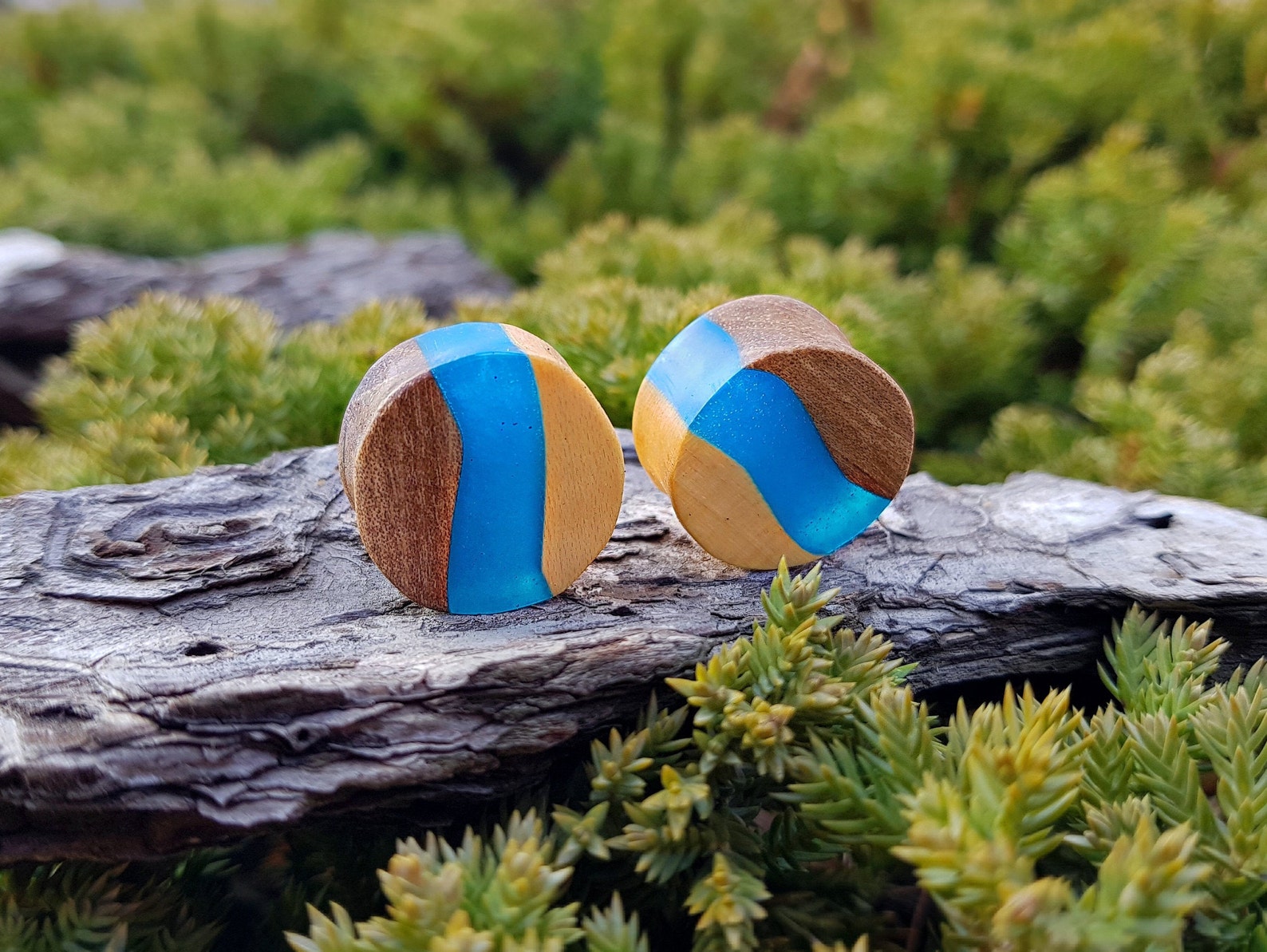 Wood plugs wood gauges plugs and tunnels ear gauges plugs | Etsy