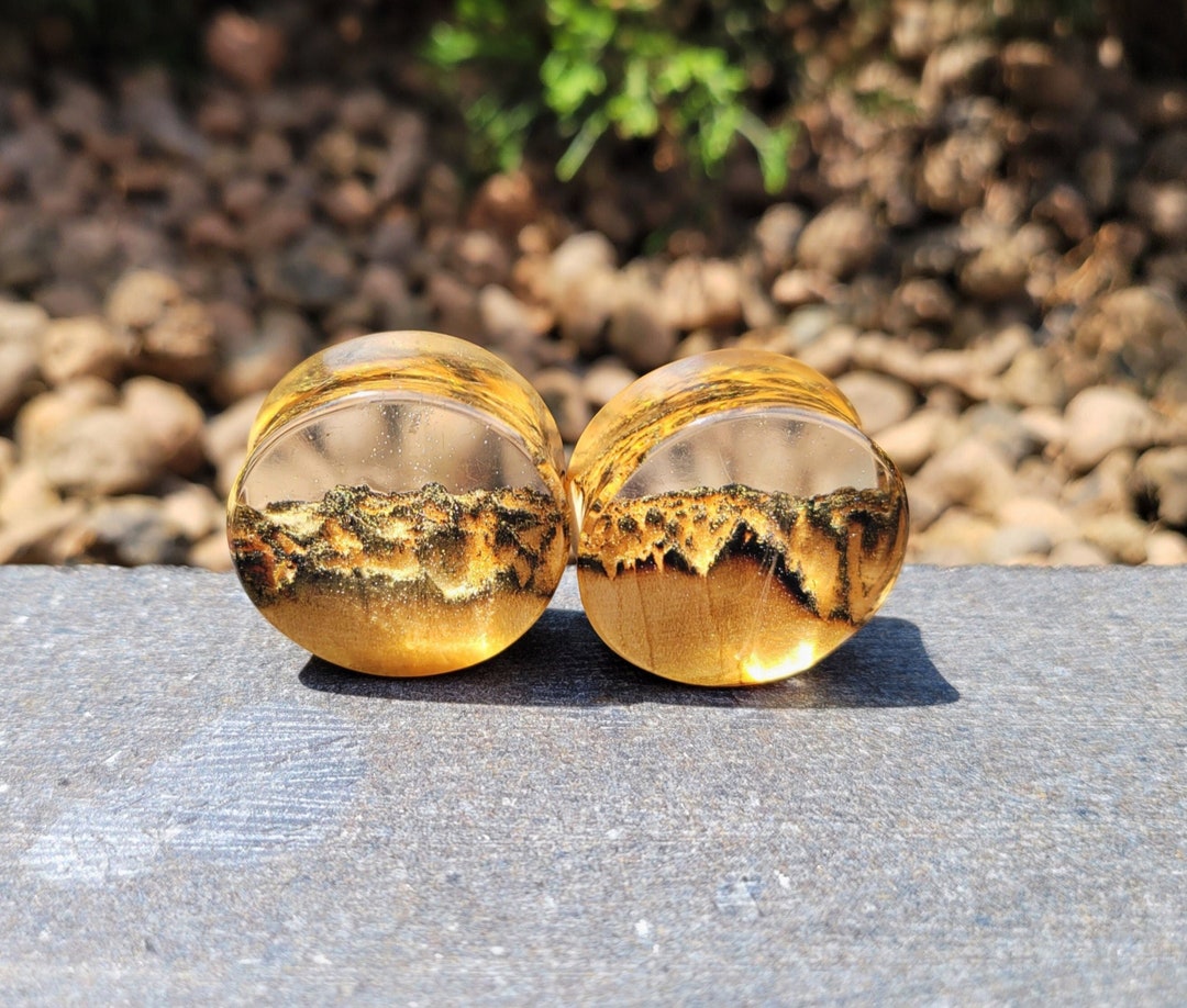 Pair of Wood Resin Plugs, Golden Color, Gauges 00, Plugs and Tunnels ...