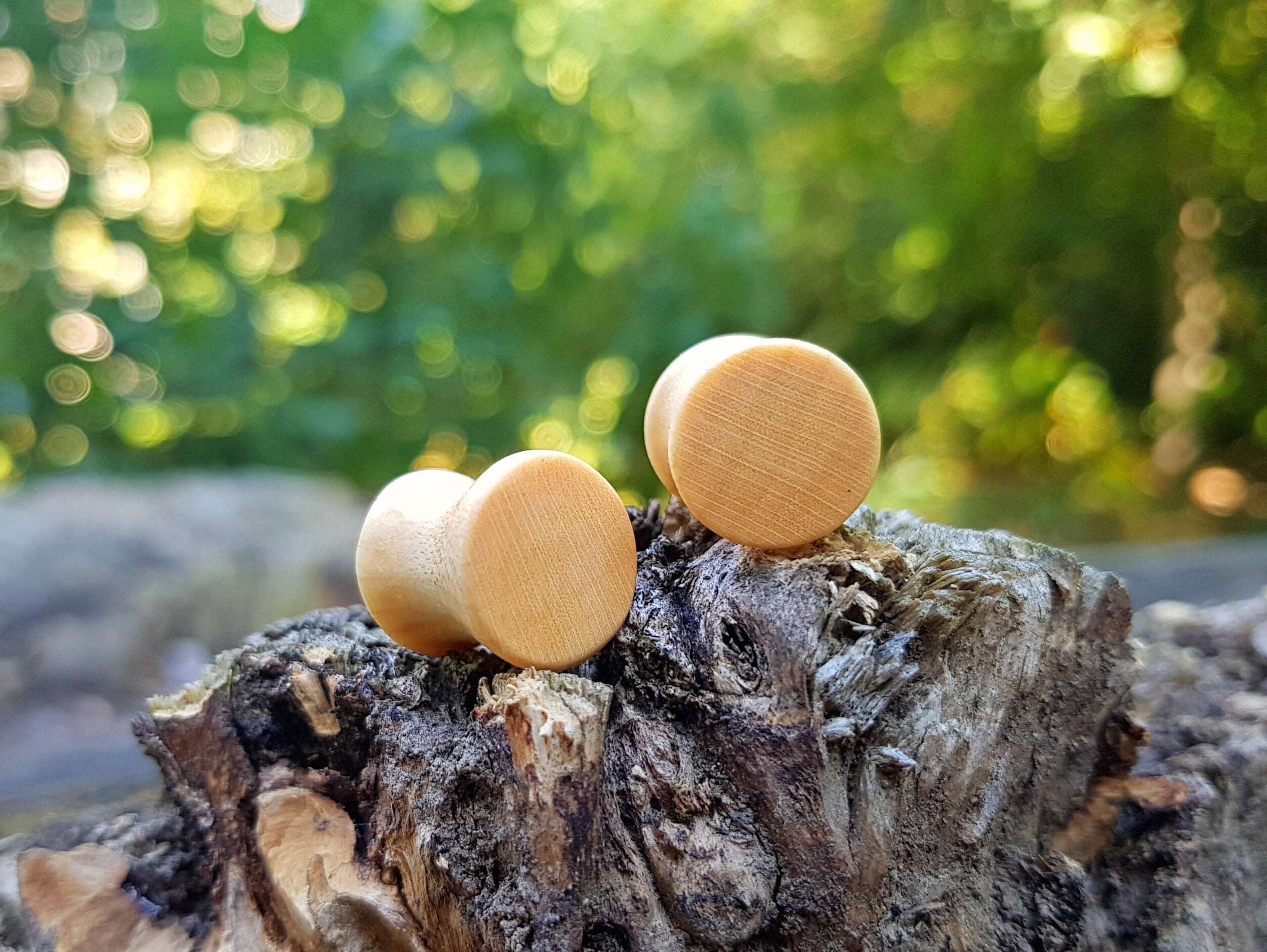 Pair of Wood Plugs, 0g Plugs, Plugs and Tunnels, 00 Gauges, Wood Gauges ...