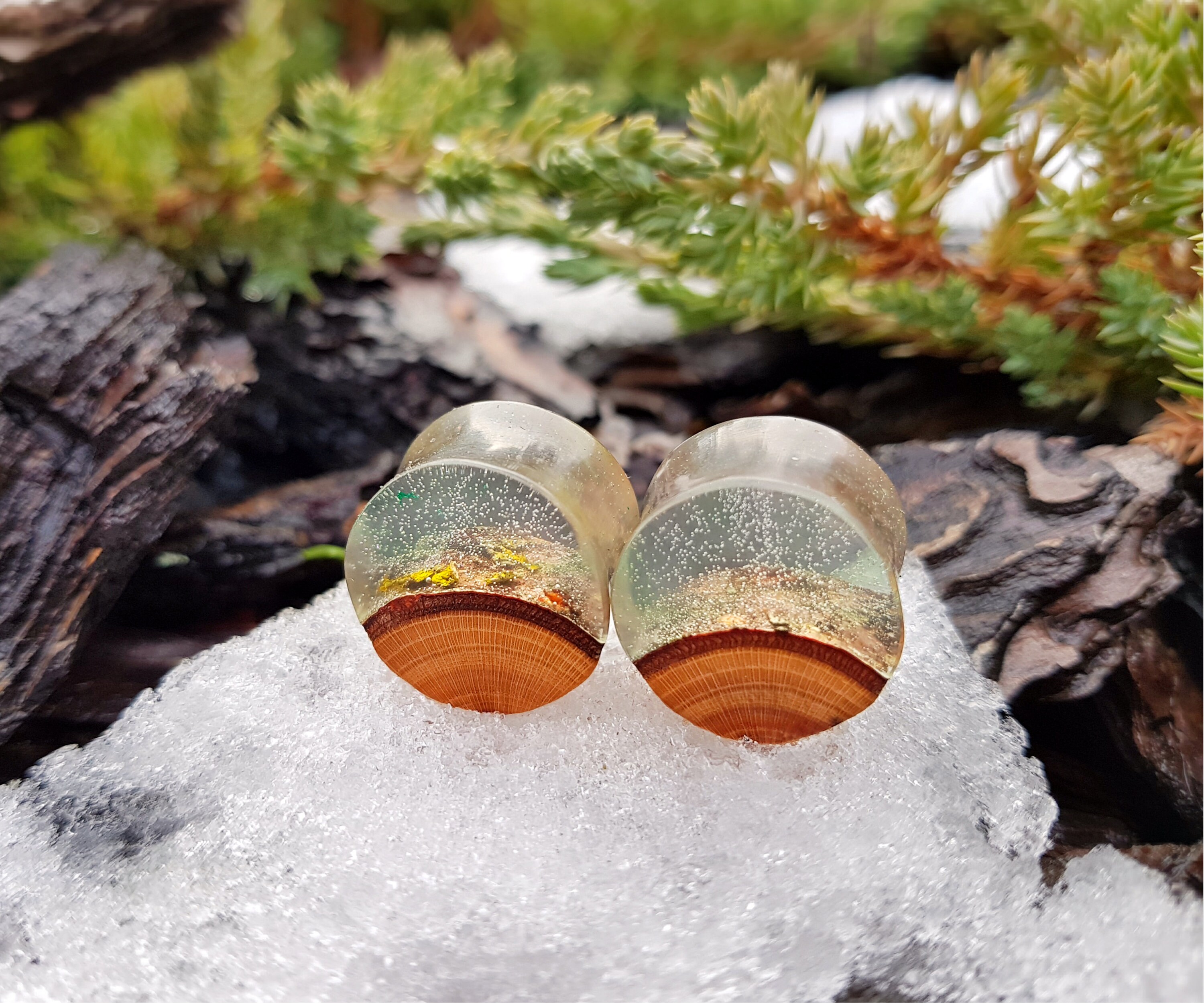 Pair of Wood Resin Plugs Plugs and Tunnels Ear Gauges Wood | Etsy