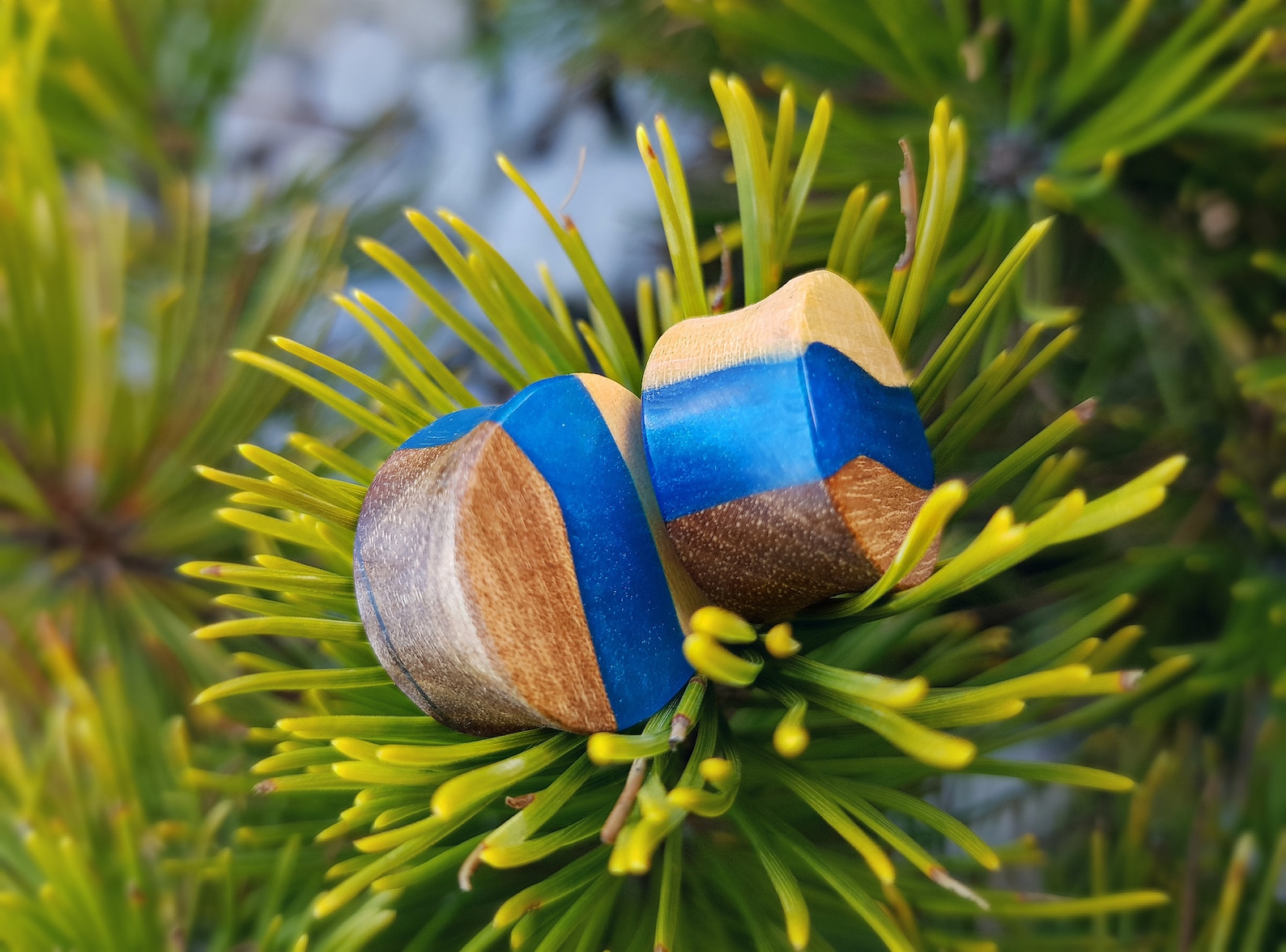 Wood Plugs Wood Gauges Plugs and Tunnels Ear Gauges Plugs - Etsy