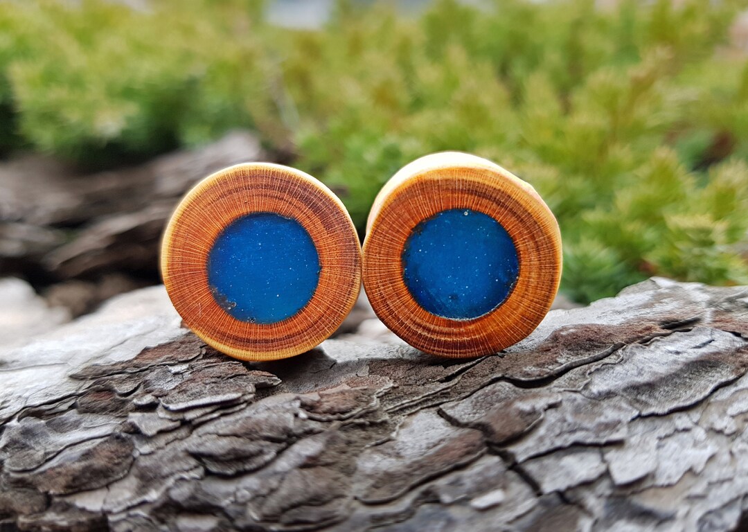 Pair of Wood Resin Plugs, 0g Plugs, Plugs and Tunnels, 00 Gauges, Resin ...