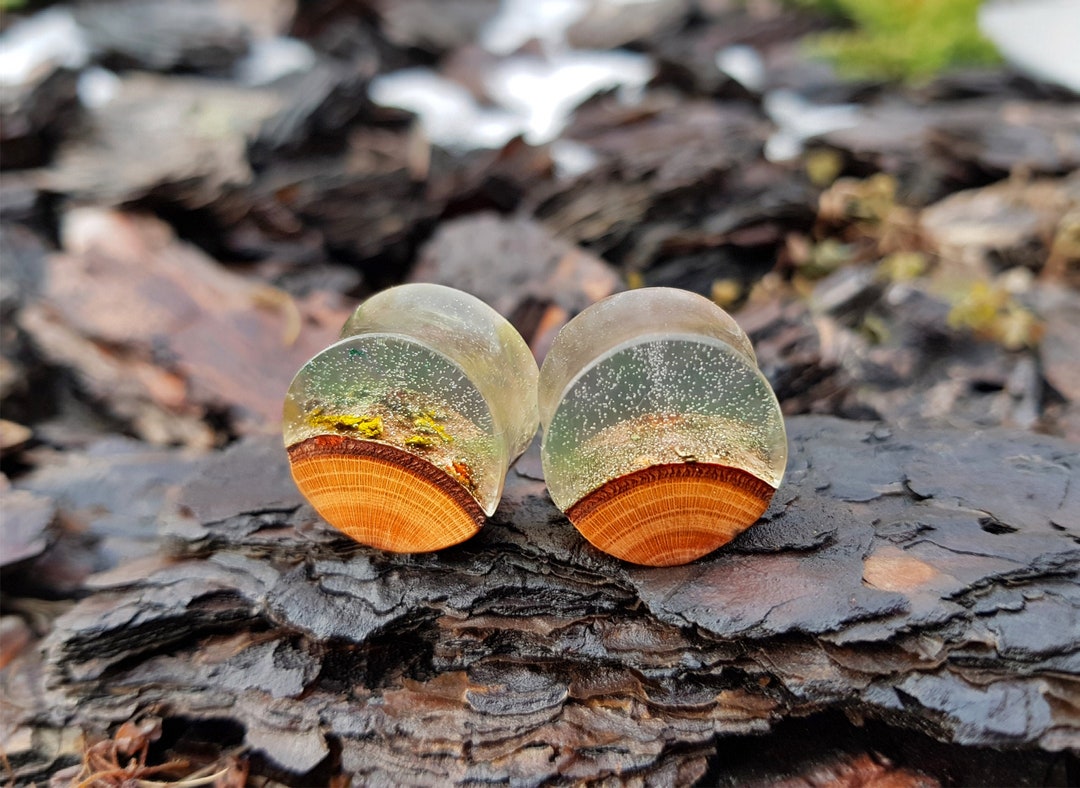 Pair of Wood Resin Plugs, Plugs and Tunnels, Ear Gauges, Wood Gauges ...