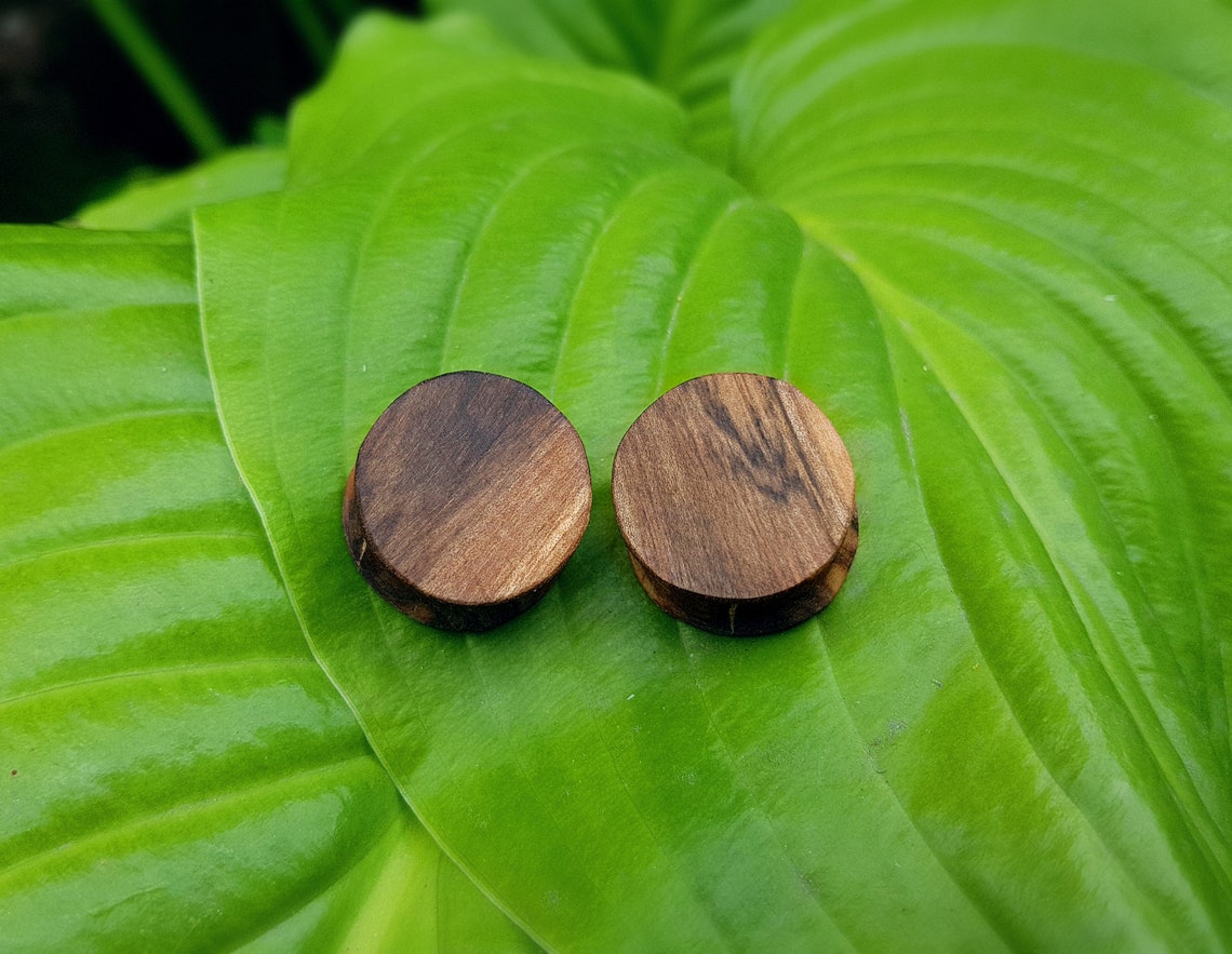 Pair of Wood Plugs, 0g Plugs, Plugs and Tunnels, 00 Gauges, Wood Gauges ...
