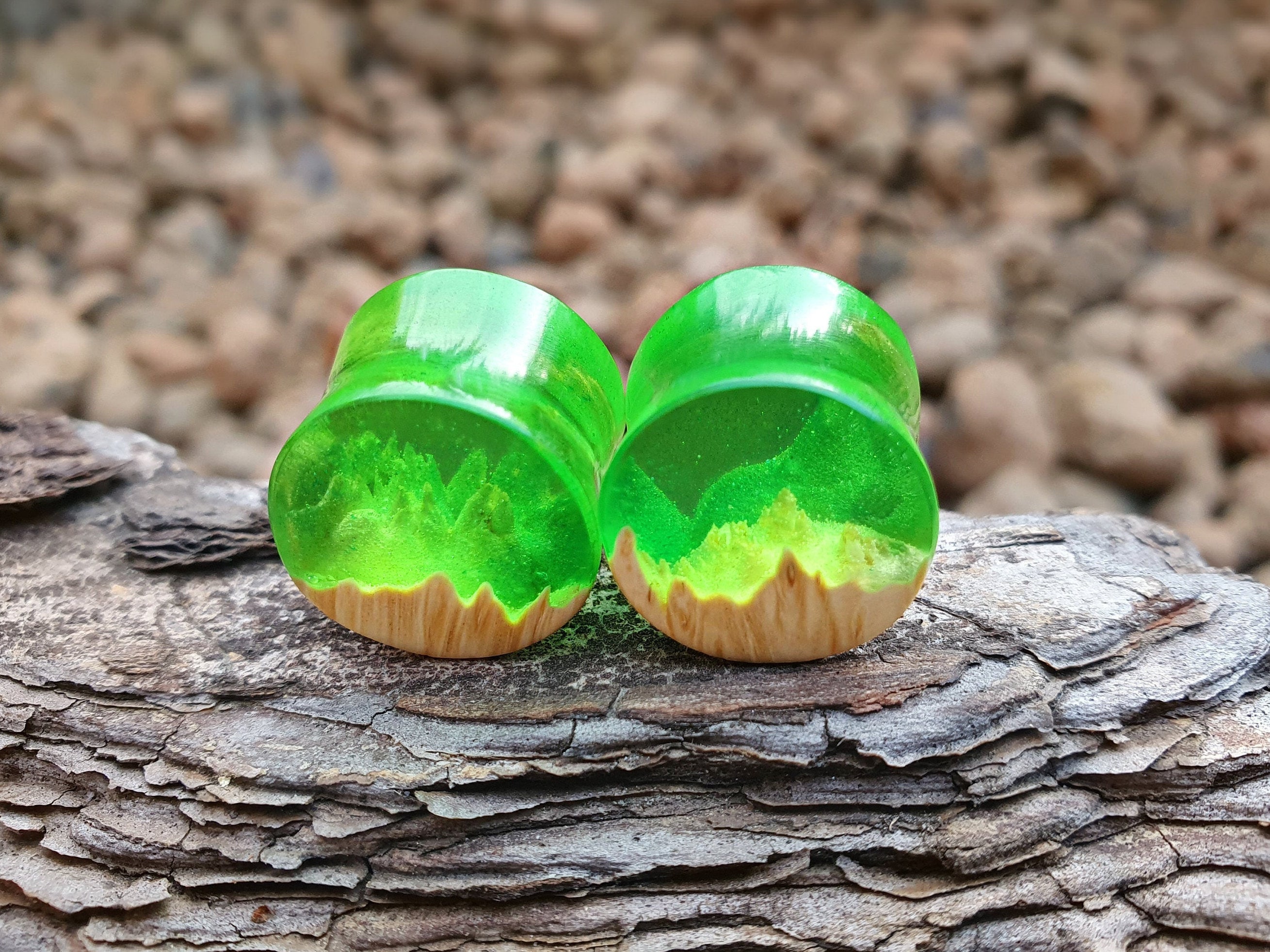 Pair of unique natural plugs gauges 00 plugs and tunnels 00 | Etsy