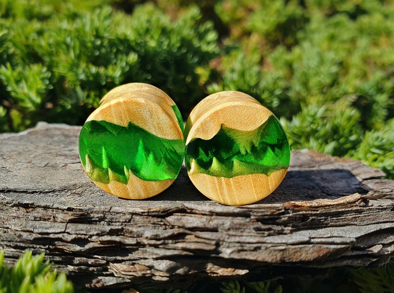 Pair of Unique Natural Plugs Gauges 00 Plugs and Tunnels 00 - Etsy