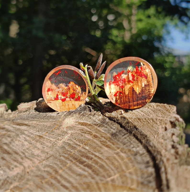 Pair of Wood Resin Plugs, 0g Plugs, Plugs and Tunnels, 00 Gauges, Resin ...