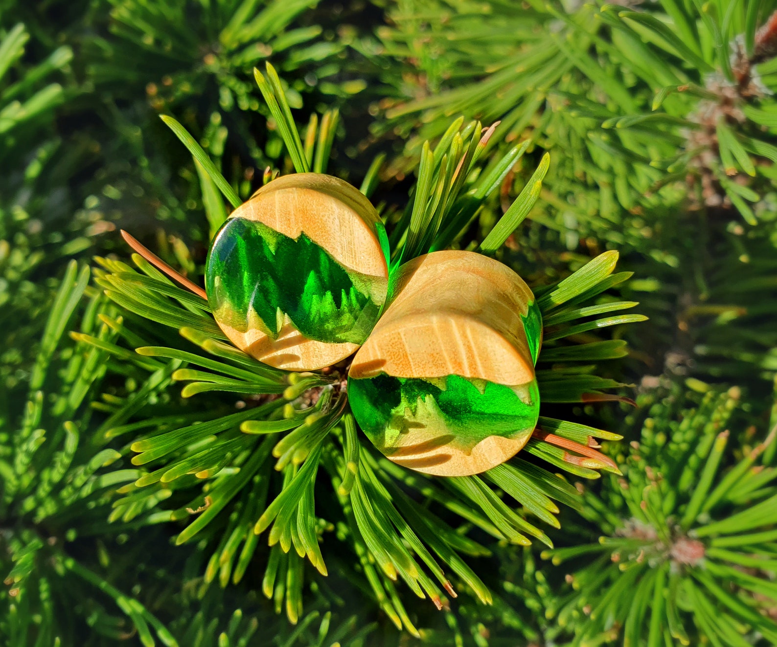 Pair of unique natural plugs gauges 00 plugs and tunnels 00 | Etsy