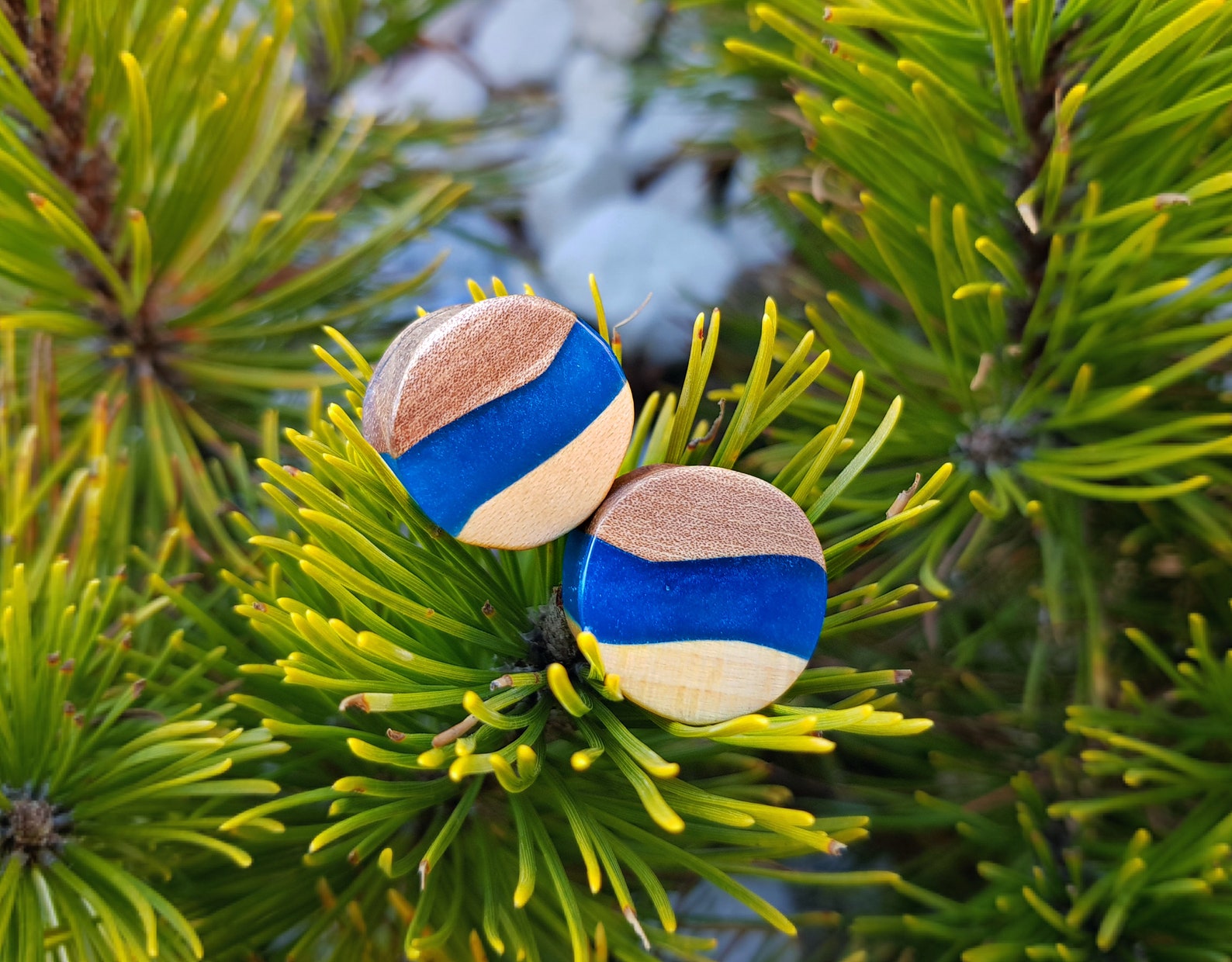 Wood Plugs Wood Gauges Plugs and Tunnels Ear Gauges Plugs - Etsy