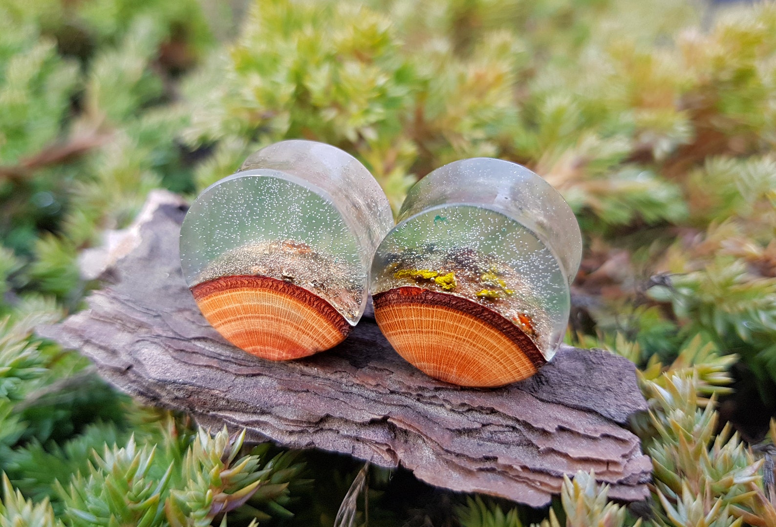 Pair of Wood Resin Plugs Plugs and Tunnels Ear Gauges Wood | Etsy