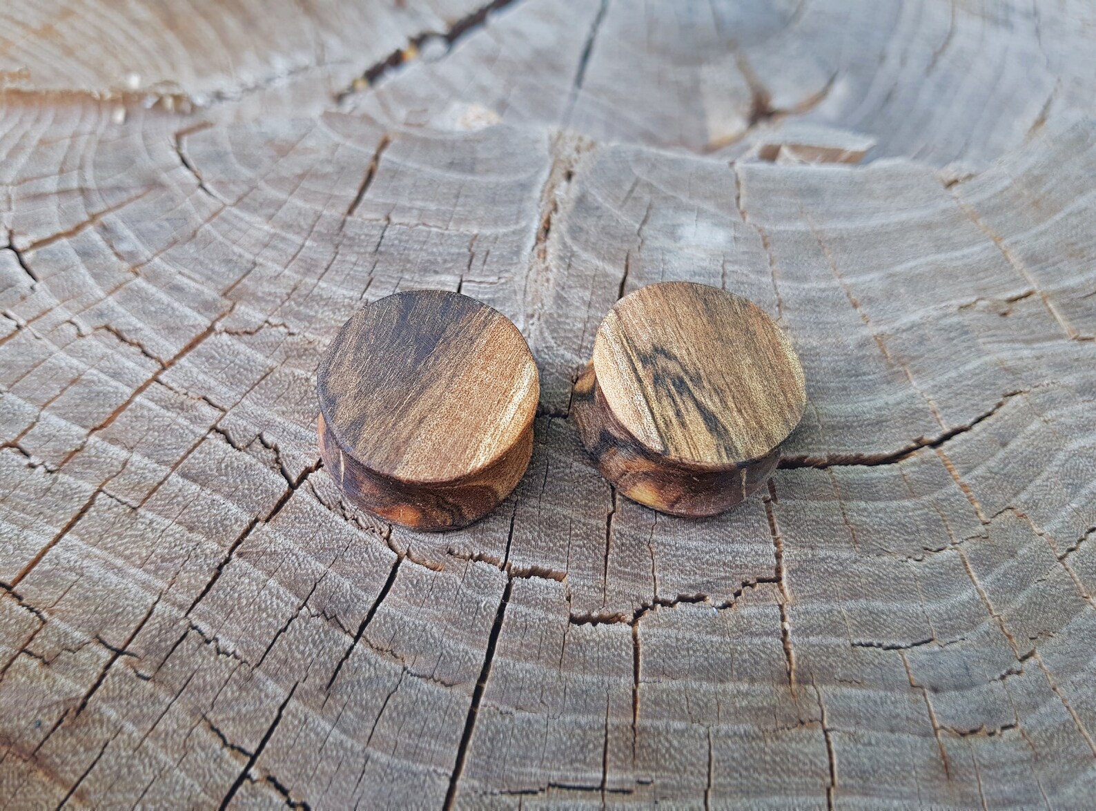 Pair of Wood Plugs, 0g Plugs, Plugs and Tunnels, 00 Gauges, Wood Gauges ...